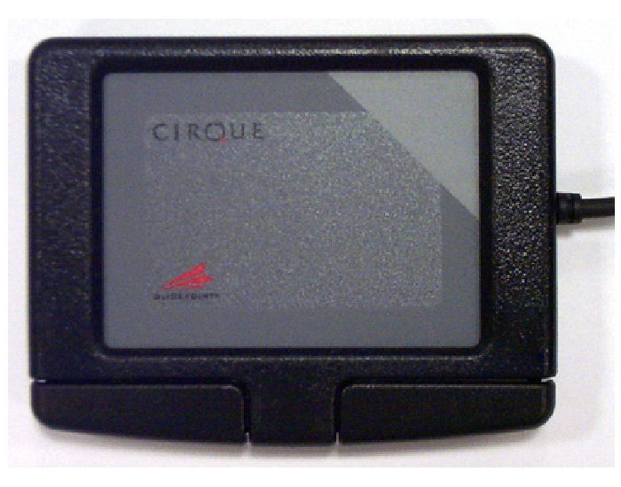 Easy Cat by Cirque - Detailed Product Description