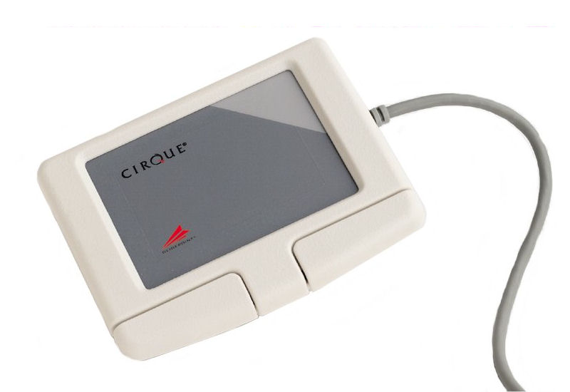 Easy Cat by Cirque - Detailed Product Description